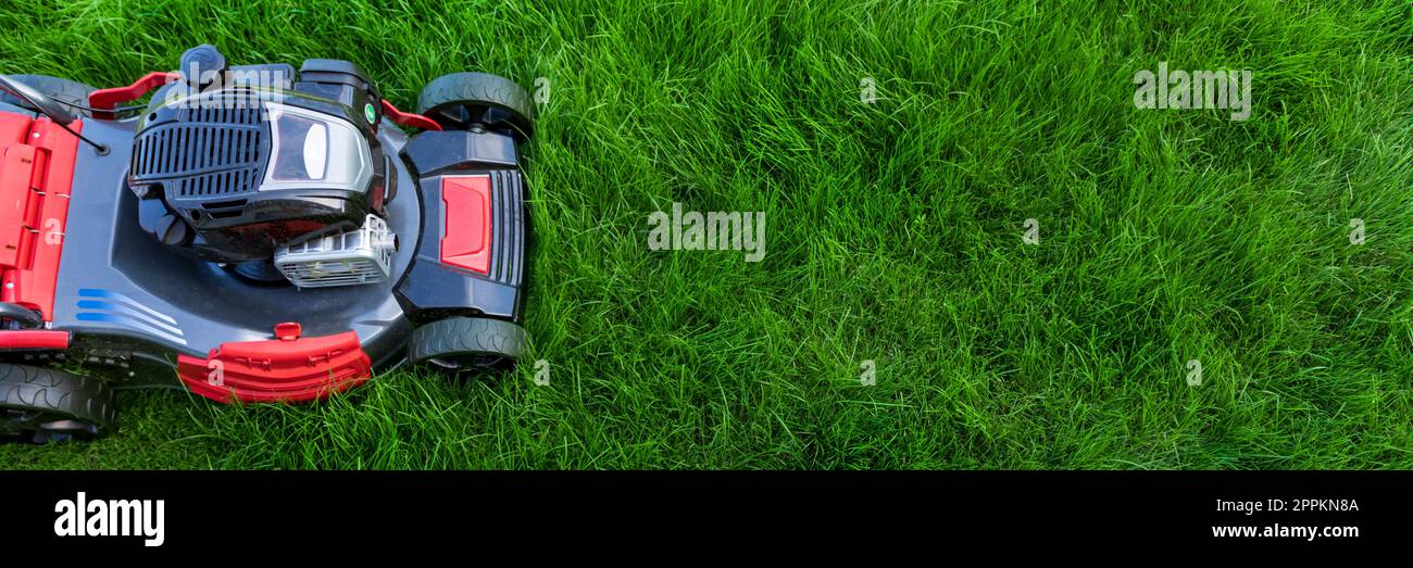 Lawn mower cutting green grass in backyard, mowing lawn Stock Photo - Alamy