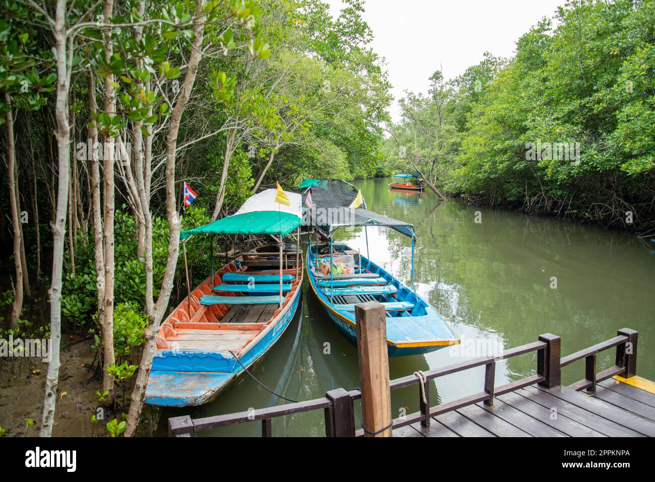 THAILAND PRACHUAP HUA HIN PRANBURI MANGROVES Stock Photo - Alamy
