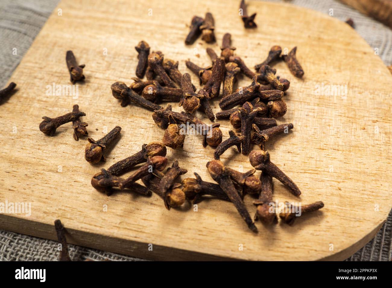 Indian carnation hi-res stock photography and images - Alamy