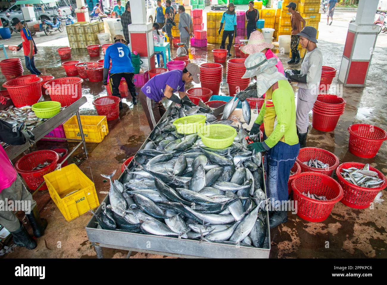 THAILAND PRACHUAP HUA HIN PAK NAM PRAN FISHING VILLAGE Stock Photo - Alamy