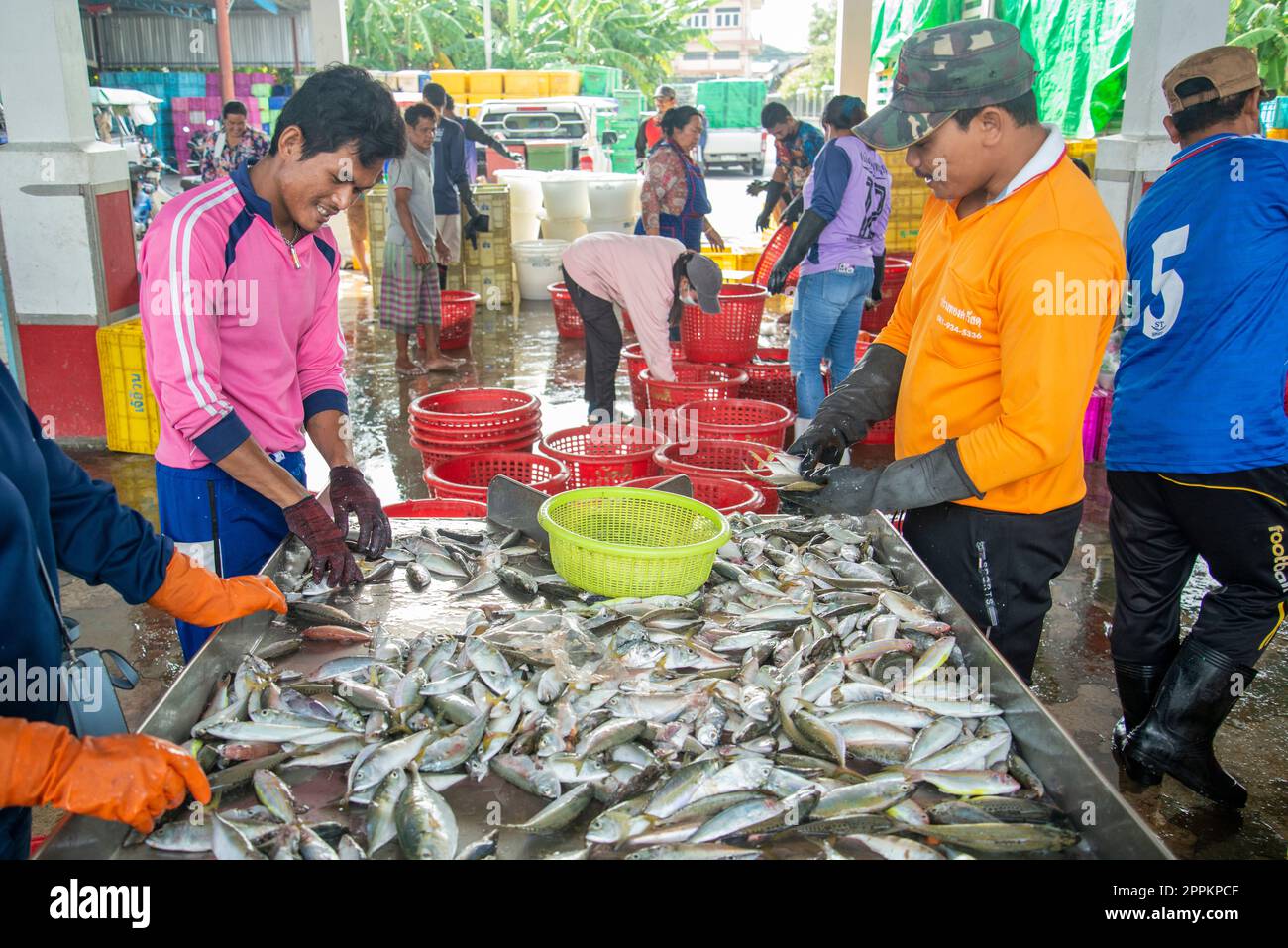 THAILAND PRACHUAP HUA HIN PAK NAM PRAN FISHING VILLAGE Stock Photo - Alamy