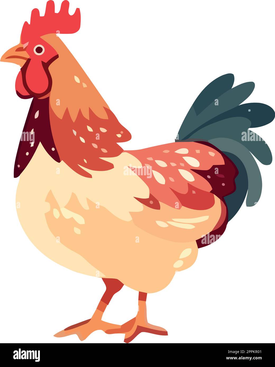 Colored rooster vector Stock Vector Image & Art - Alamy