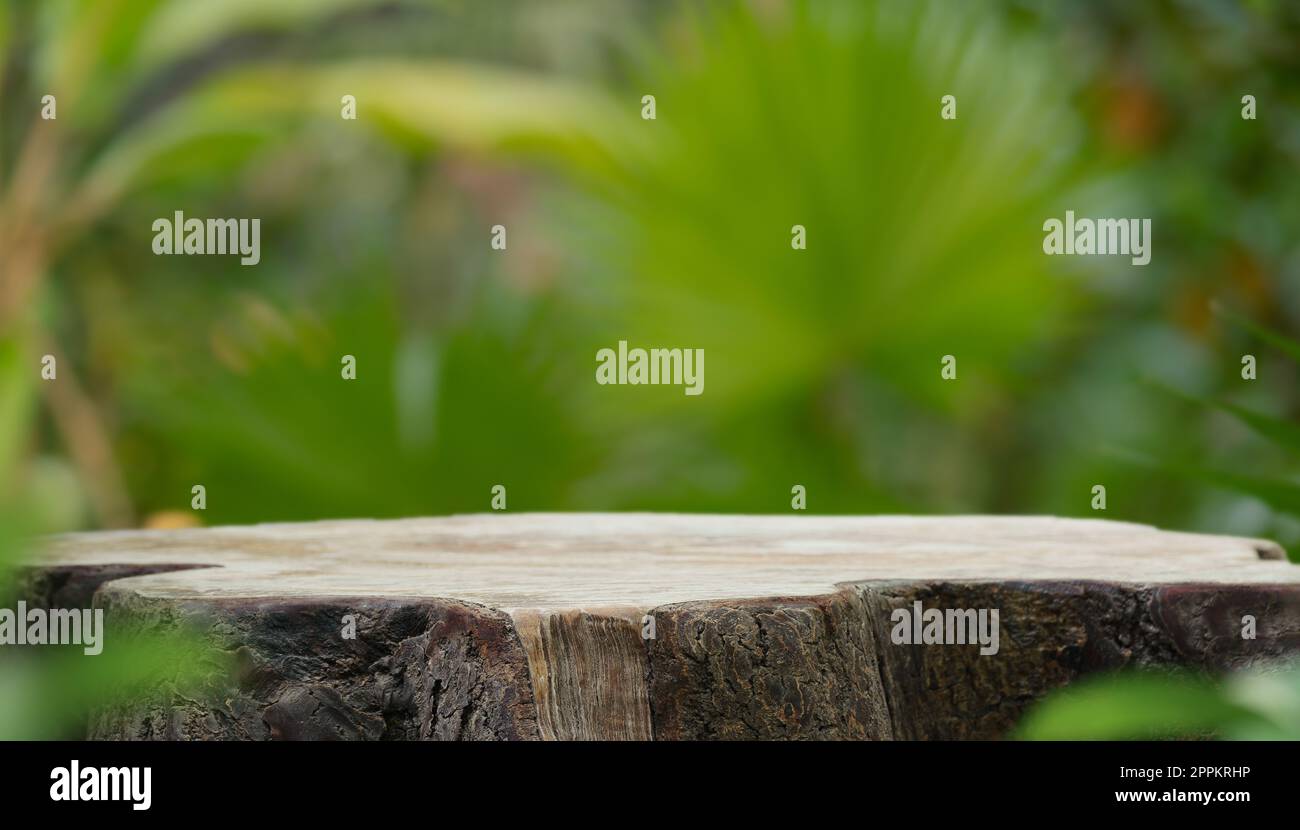 Wood tabletop podium floor in outdoors blur green palm leaf tropical ...