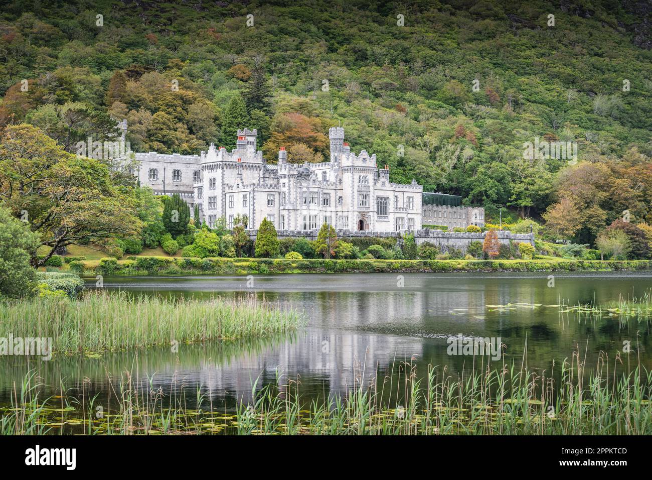 Kylemore Abbey, beautiful white castle reflected in lake, Connemara ...