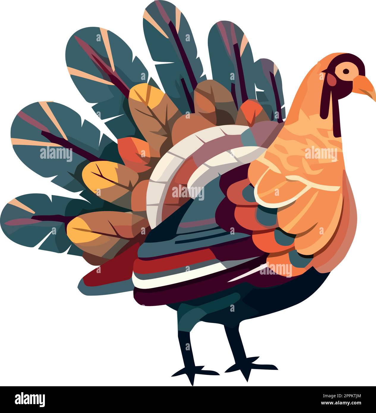 multi colored peacock illustration Stock Vector Image & Art - Alamy