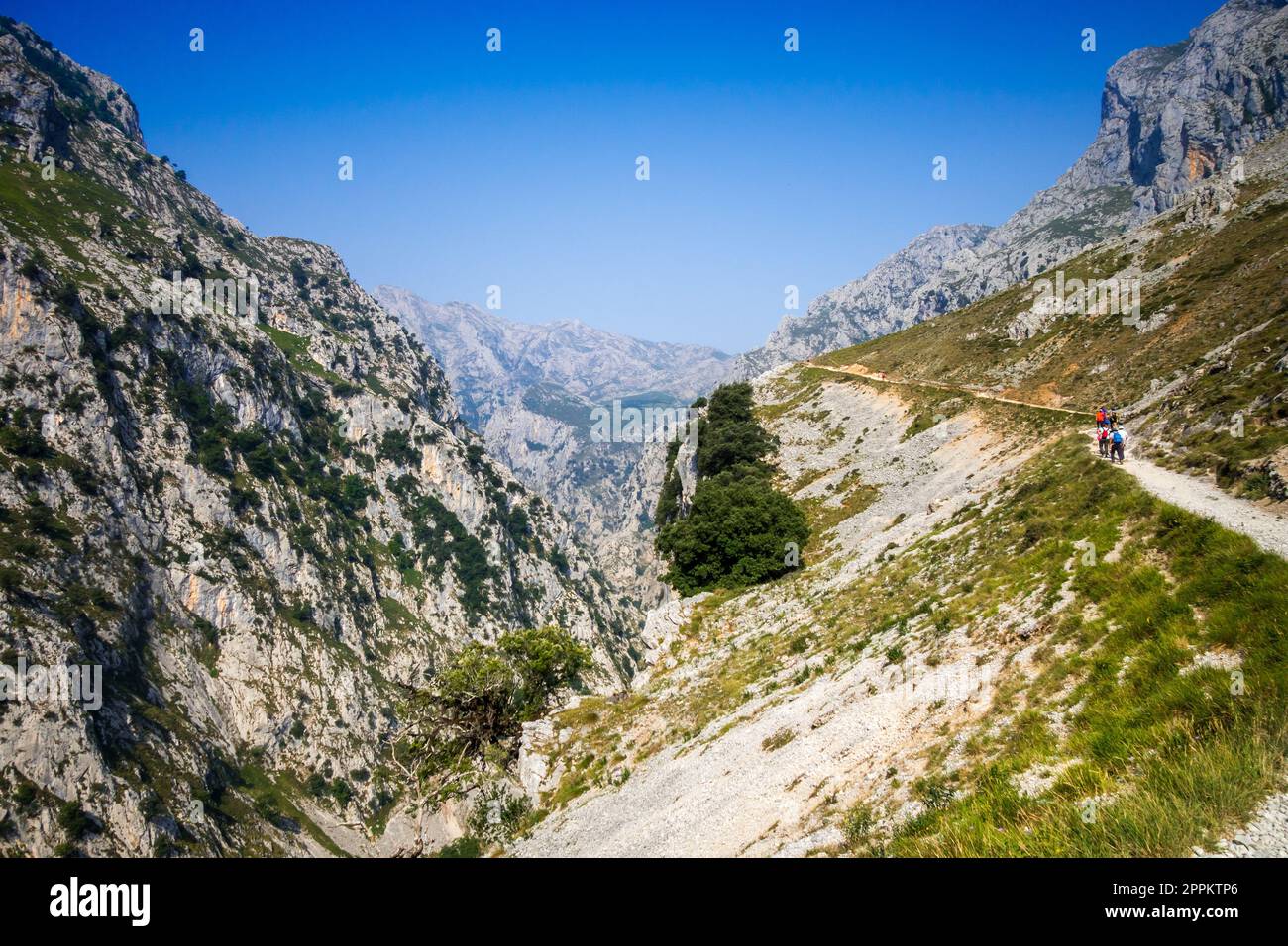 Cares trail - ruta del Cares - in Picos de Europa, Asturias, Spain ...