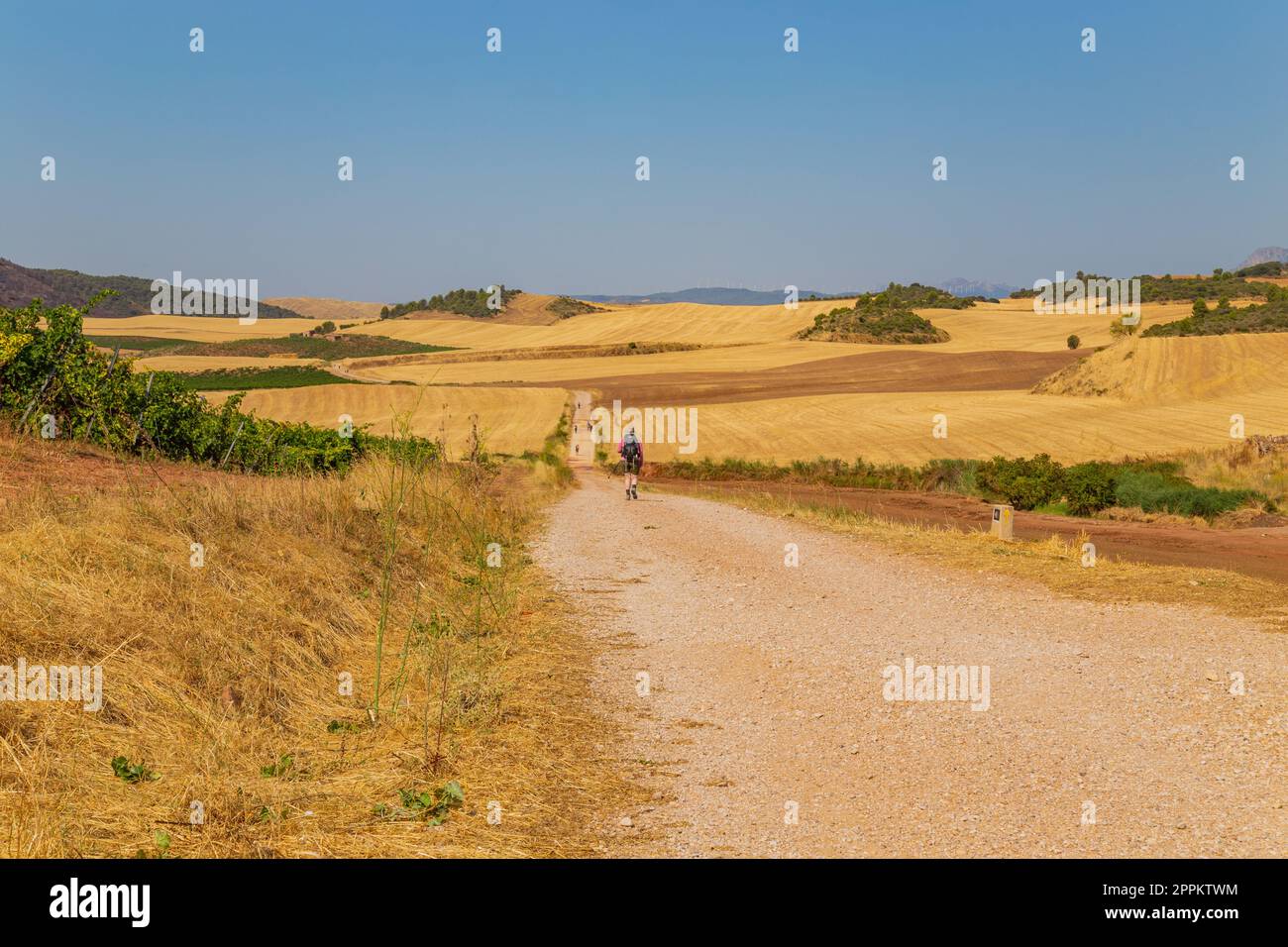 Pilgrims walk along the Camino De Santiago Stock Photo - Alamy