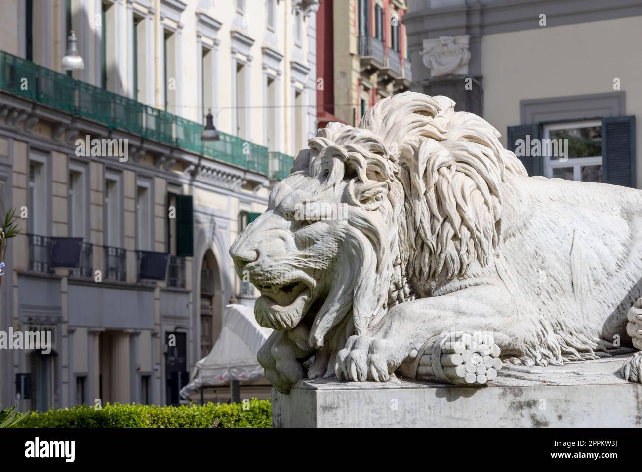 Stone lion statue at the base of the Monument to the Martyrs on Piazza ...