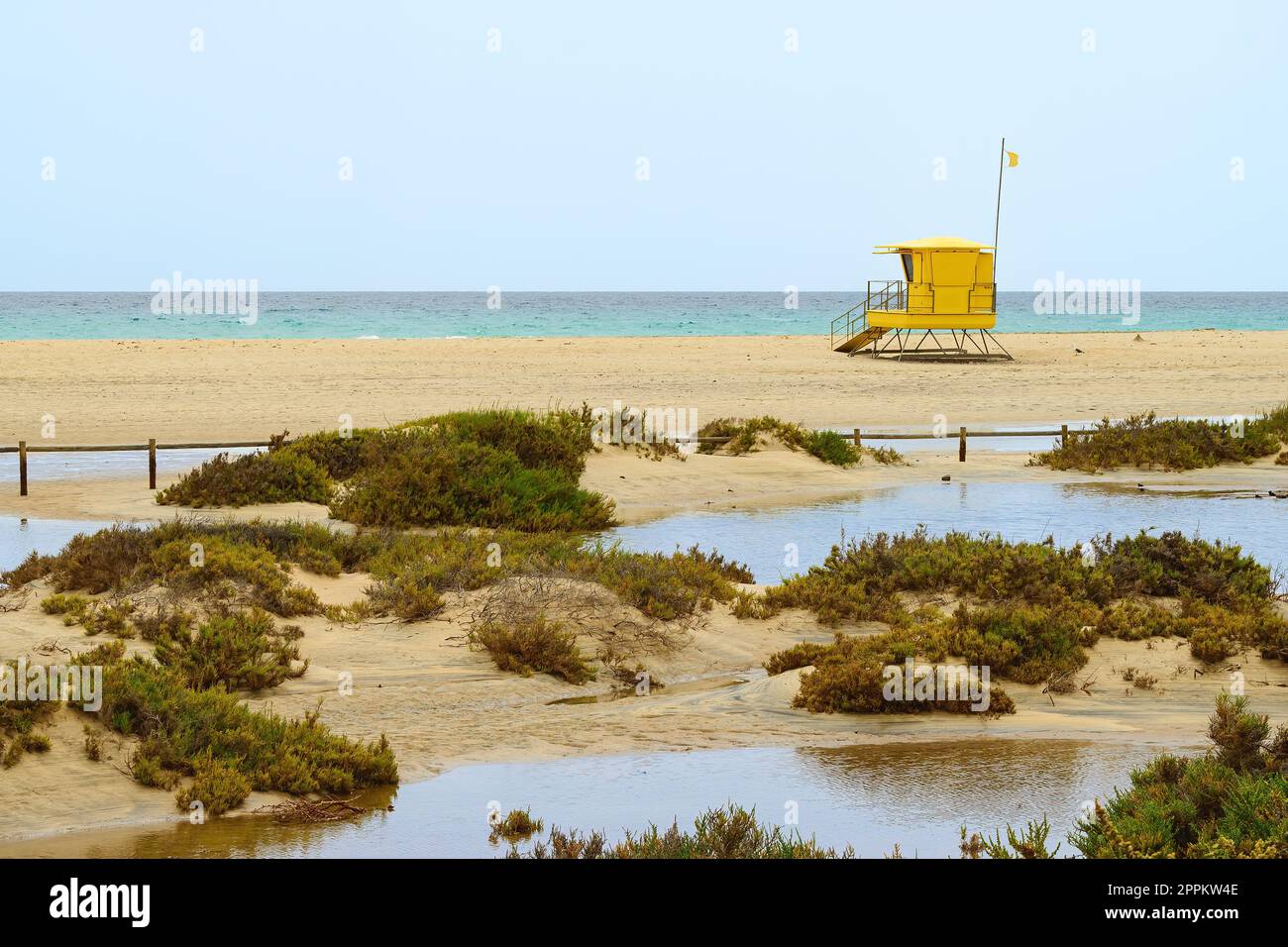 Beach on the Canary Island of Fuerteventura, Spain. Typical yellow ...