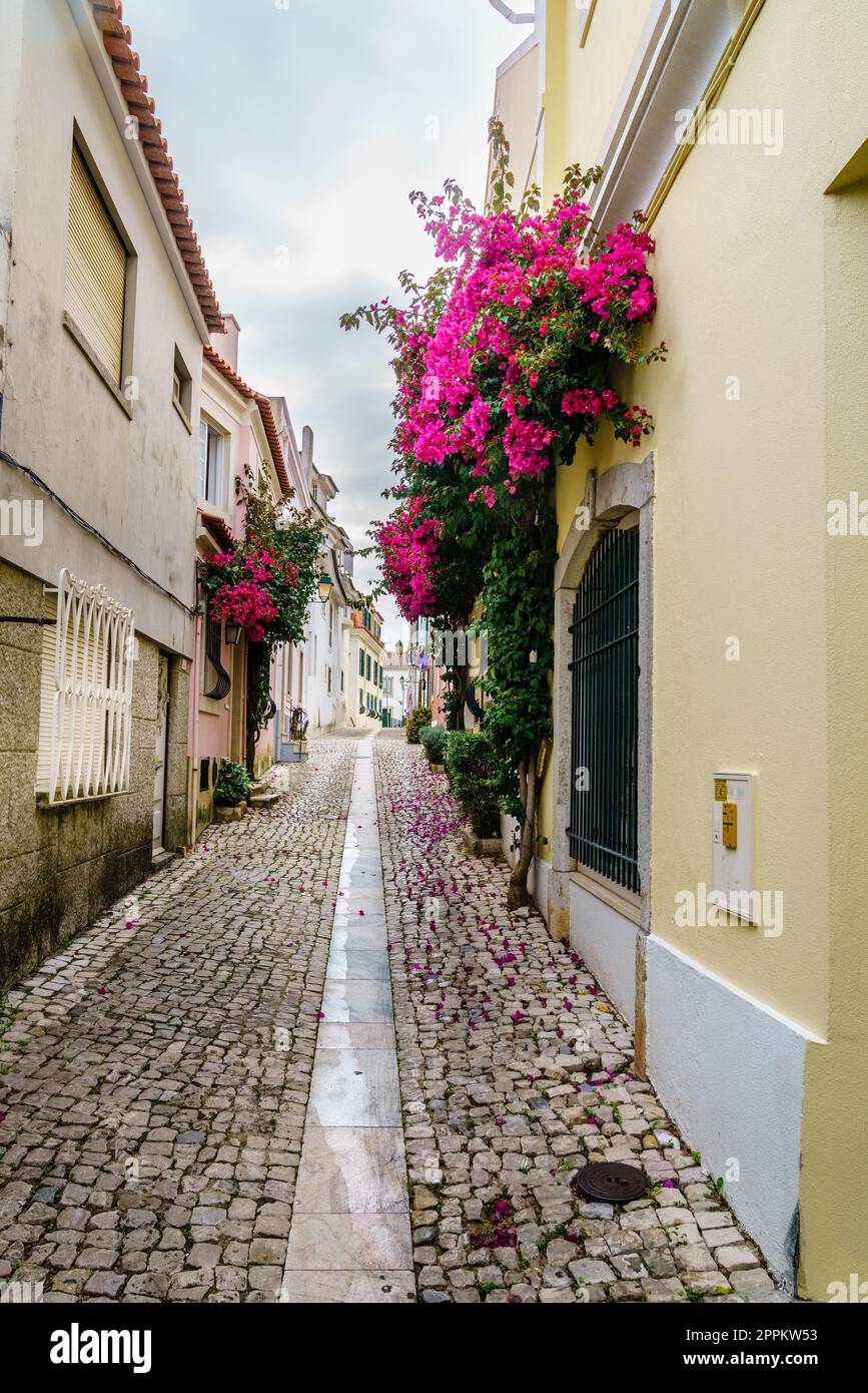 Narrow empty cobblestone street hi-res stock photography and images - Alamy