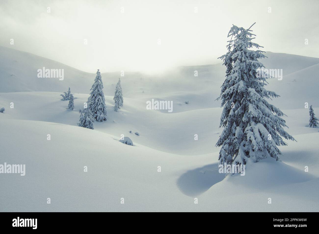 Wavy snowy slopes landscape photo Stock Photo - Alamy