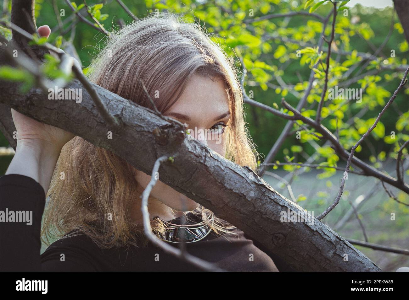 Close up young woman peeking over tree bough portrait picture Stock ...