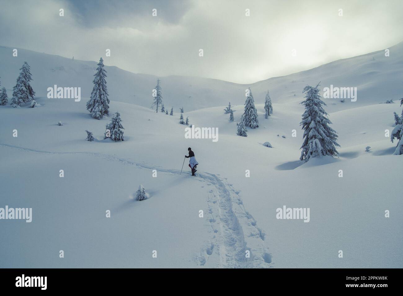 Moving through forest hi-res stock photography and images - Alamy