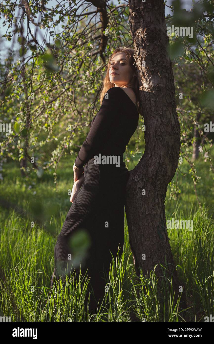 Young woman in black dress leaning against tree scenic photography ...