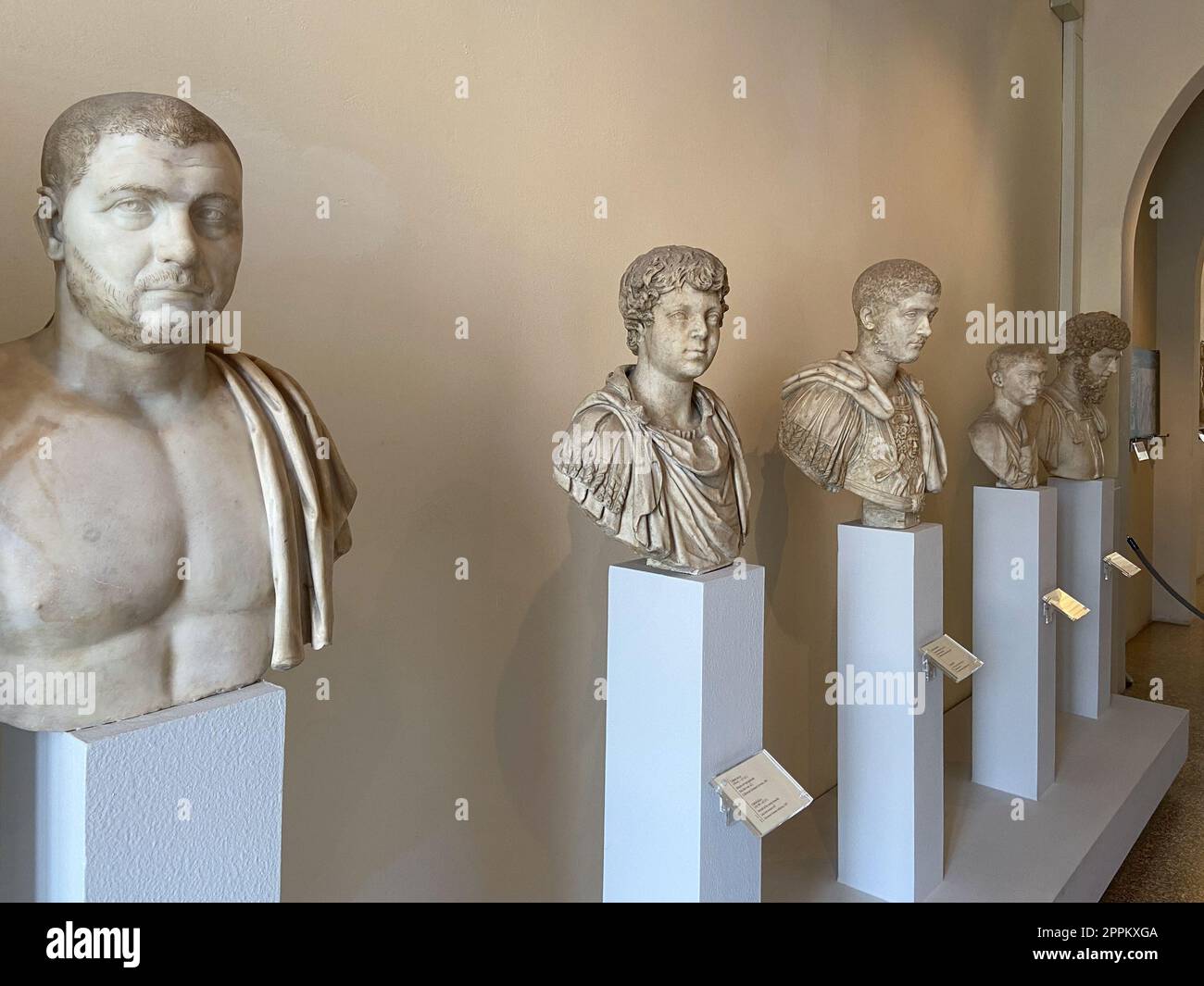 busts in gallery in Correr Museum in Venice city Stock Photo - Alamy