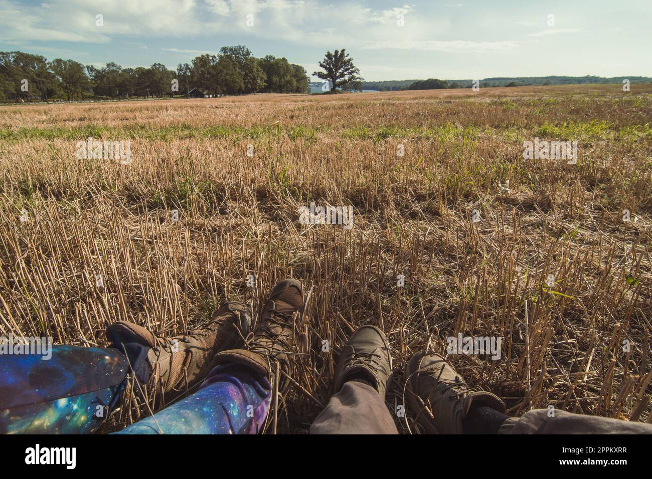 Field mowed hi-res stock photography and images - Alamy