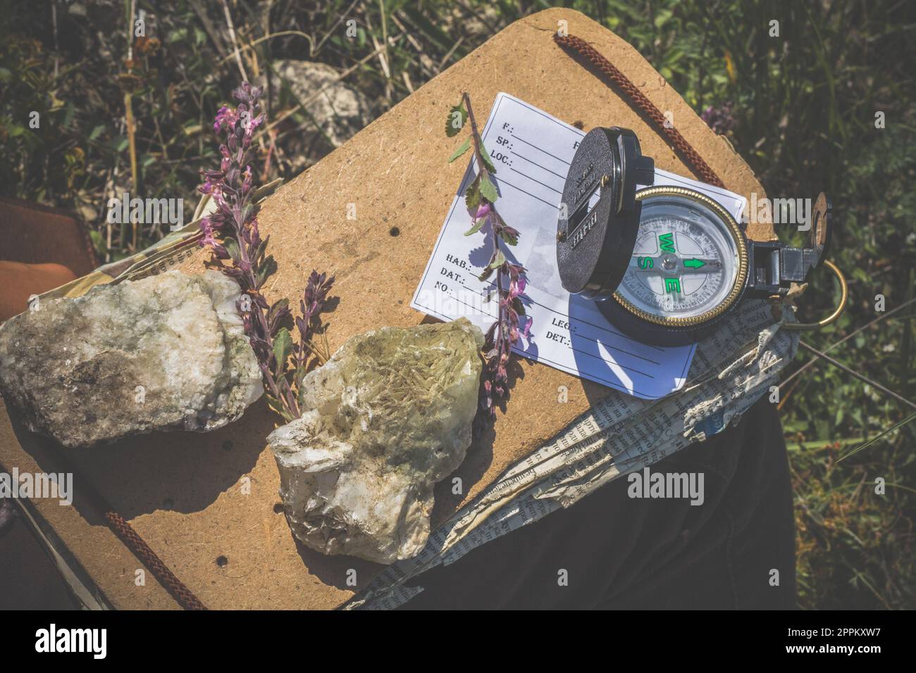 Close up rocks and flower samples with compass concept photo Stock ...