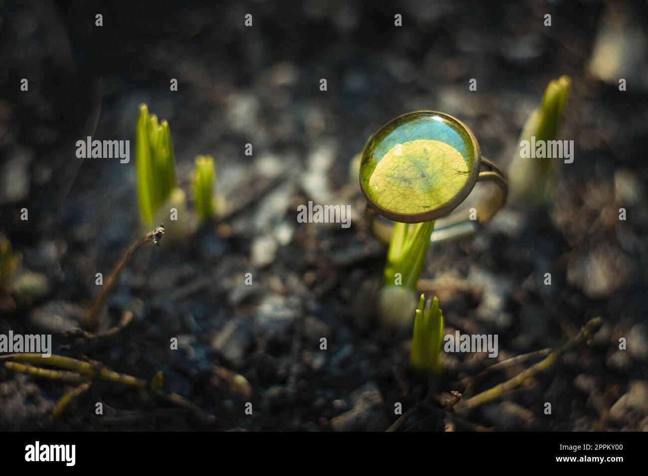 Epoxide ring hi-res stock photography and images - Alamy
