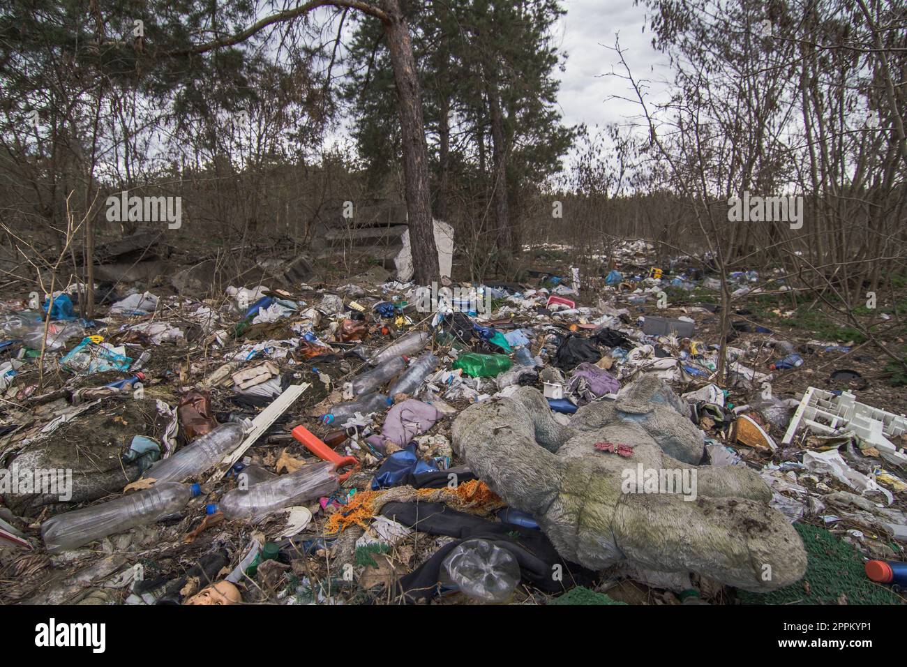 Illegal dumping in forest landscape photo Stock Photo - Alamy