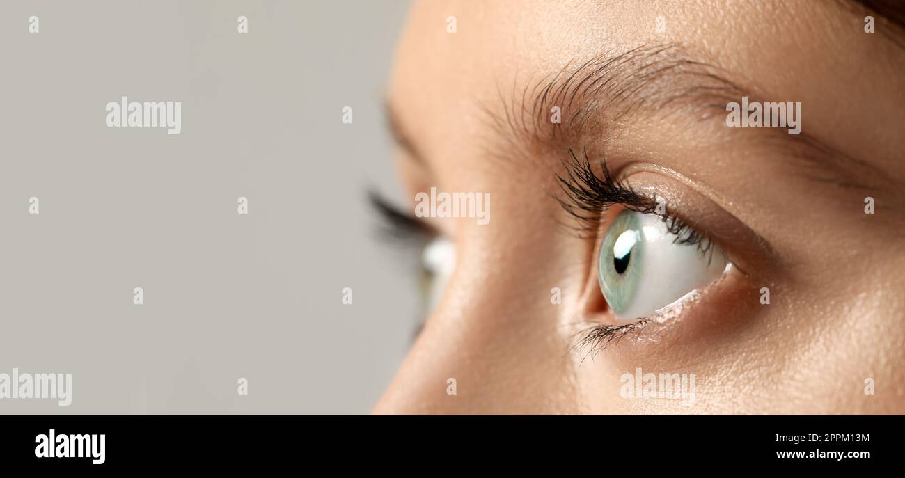 Closeup view of woman with beautiful eyes on light grey background, space for text. Banner ...