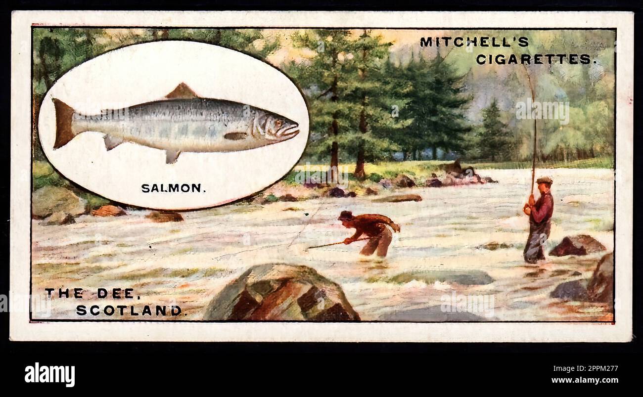 Salmon Fishing on the Dee - Vintage British Cigarette Card - Victorian ...