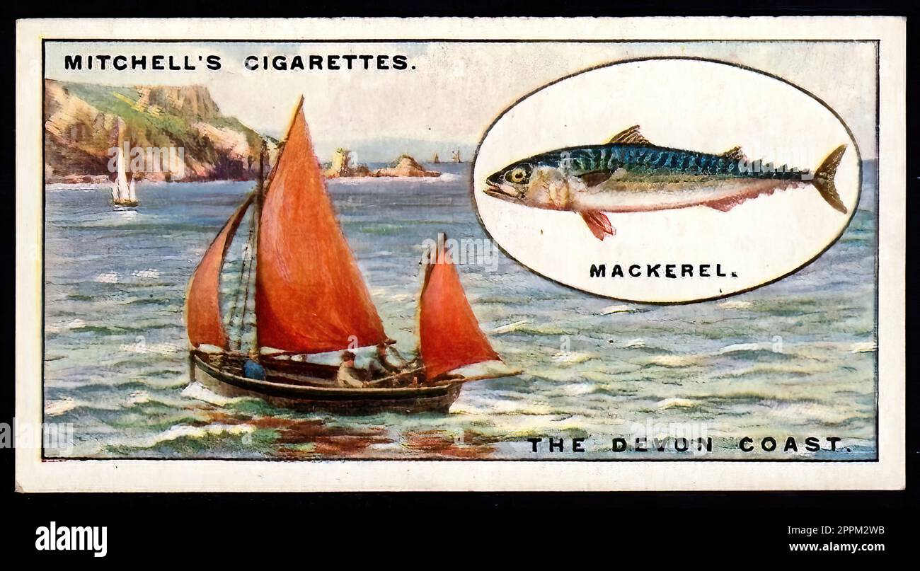 Fishing off the Devon Coast - Vintage British Cigarette Card ...