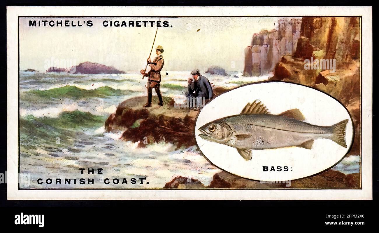 Fishing off the Cornish Coast - Vintage British Cigarette Card ...