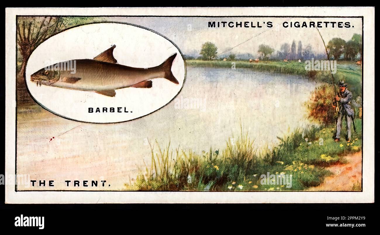 Fishing on the River Trent - Vintage British Cigarette Card - Victorian ...