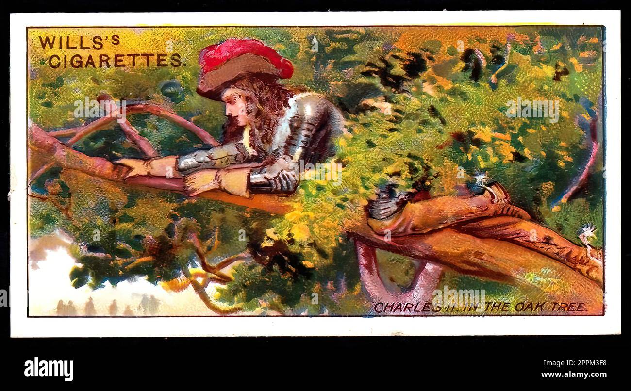 Charles II Hides in an Oak Tree - Vintage British Cigarette Card ...