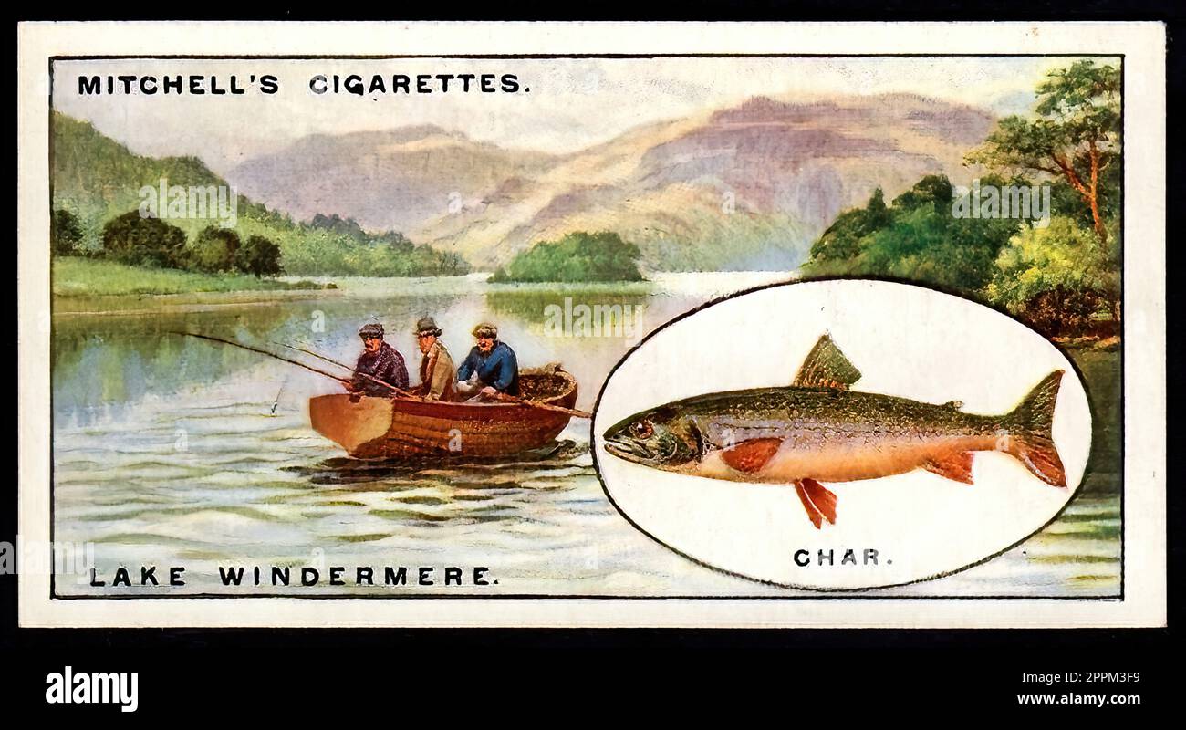 Char Fishing on Lake Windermere - Vintage British Cigarette Card ...
