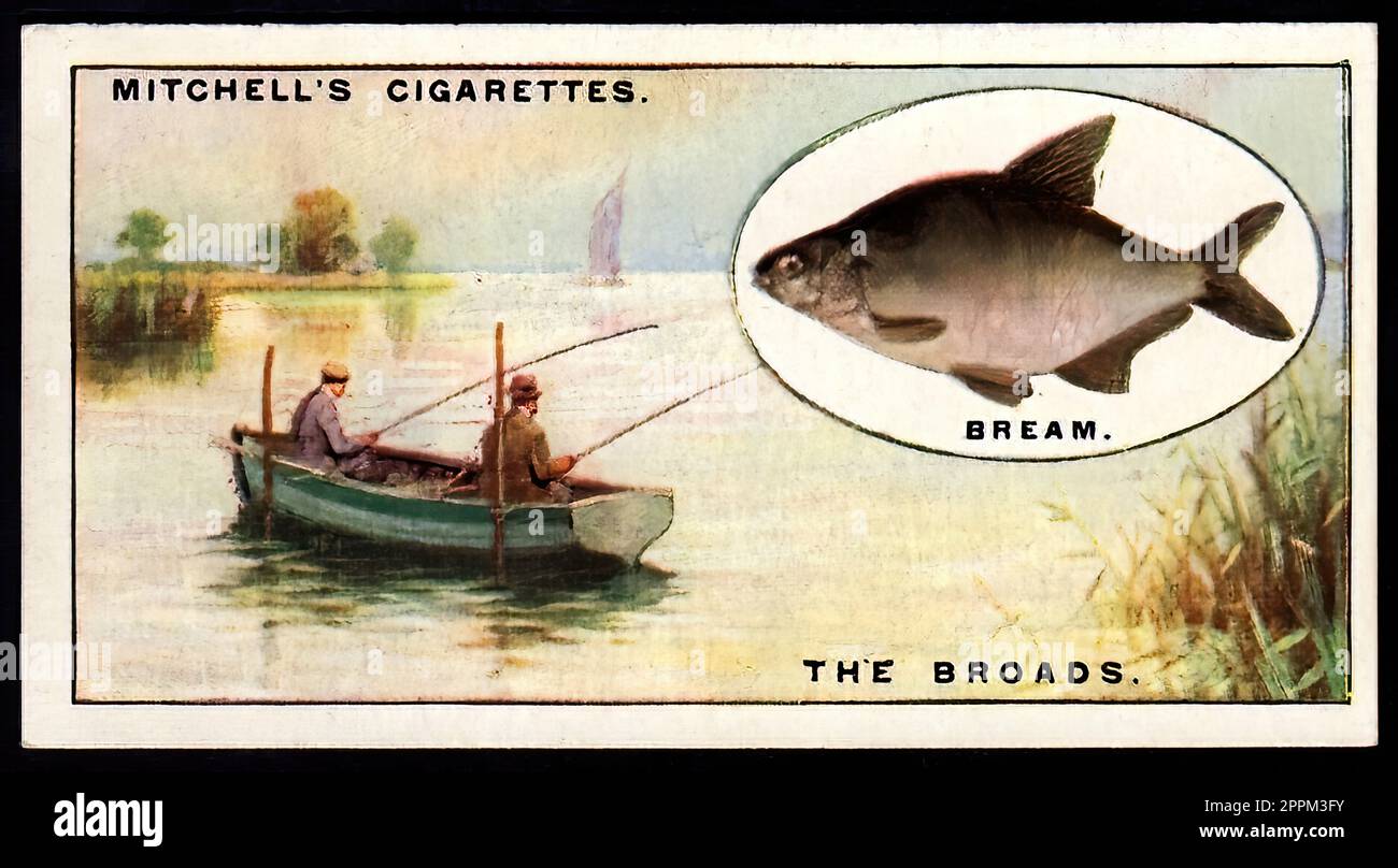 Fishing for Bream on the Broads - Vintage British Cigarette Card ...
