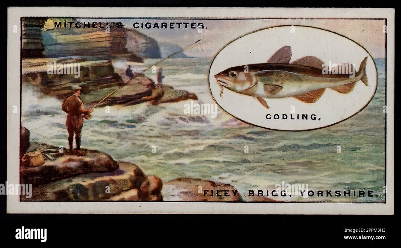 Fishing for Codling - Vintage British Cigarette Card - Victorian Era ...
