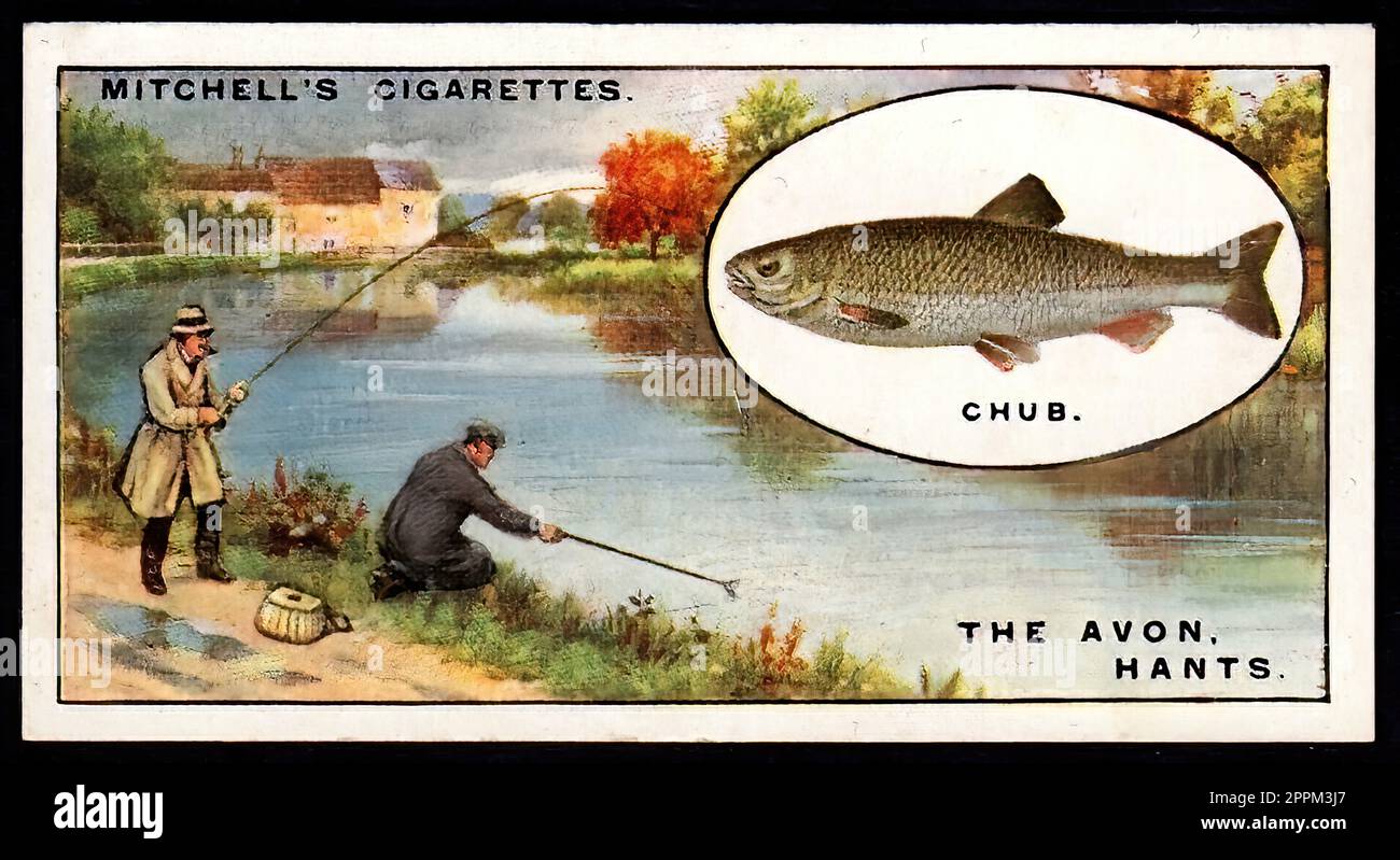 Chub Fishing on the River Avon - Vintage British Cigarette Card ...