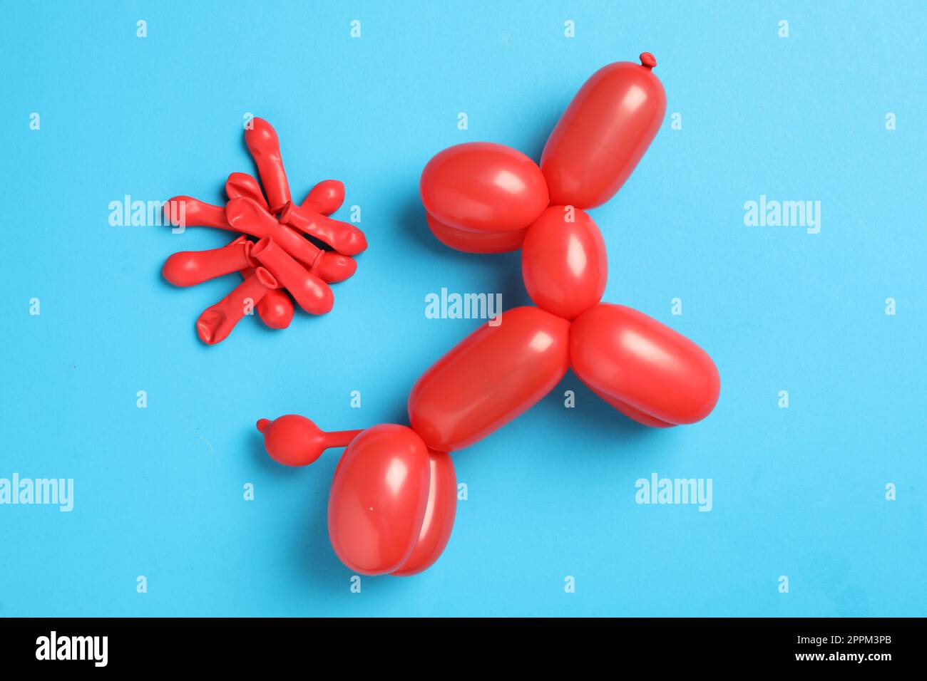 Dog figure made of modelling balloon on light blue background, flat lay ...