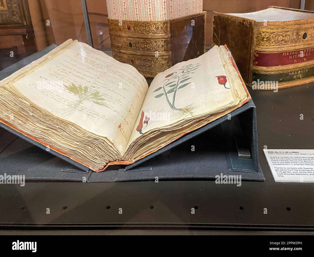 Medieval manuscript interior hi-res stock photography and images - Alamy