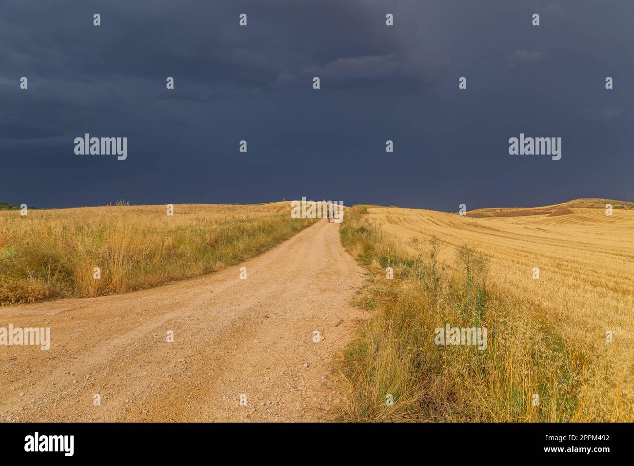 Pilgrims walk along the Camino De Santiago Stock Photo - Alamy