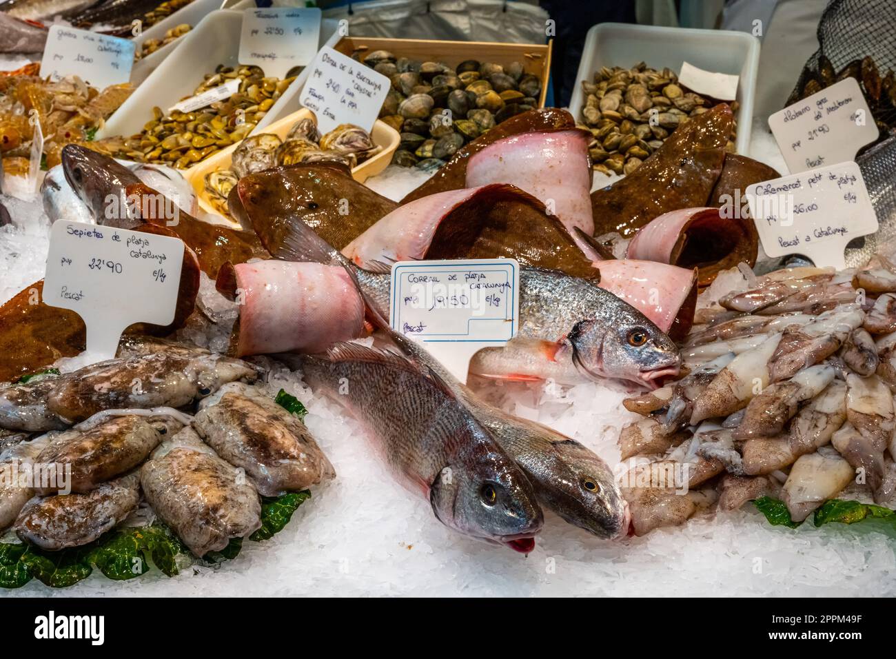 Fresh fish, clams and seafood for sale at a market in Barcelona, Spain ...