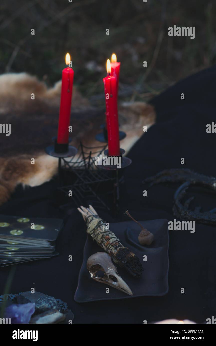 Close up ritual and burning candles, crow skull concept photo Stock ...