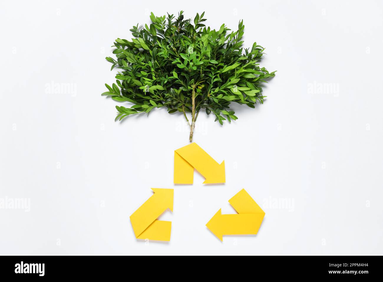 Recycling symbol and branch of green plant on white background, flat ...