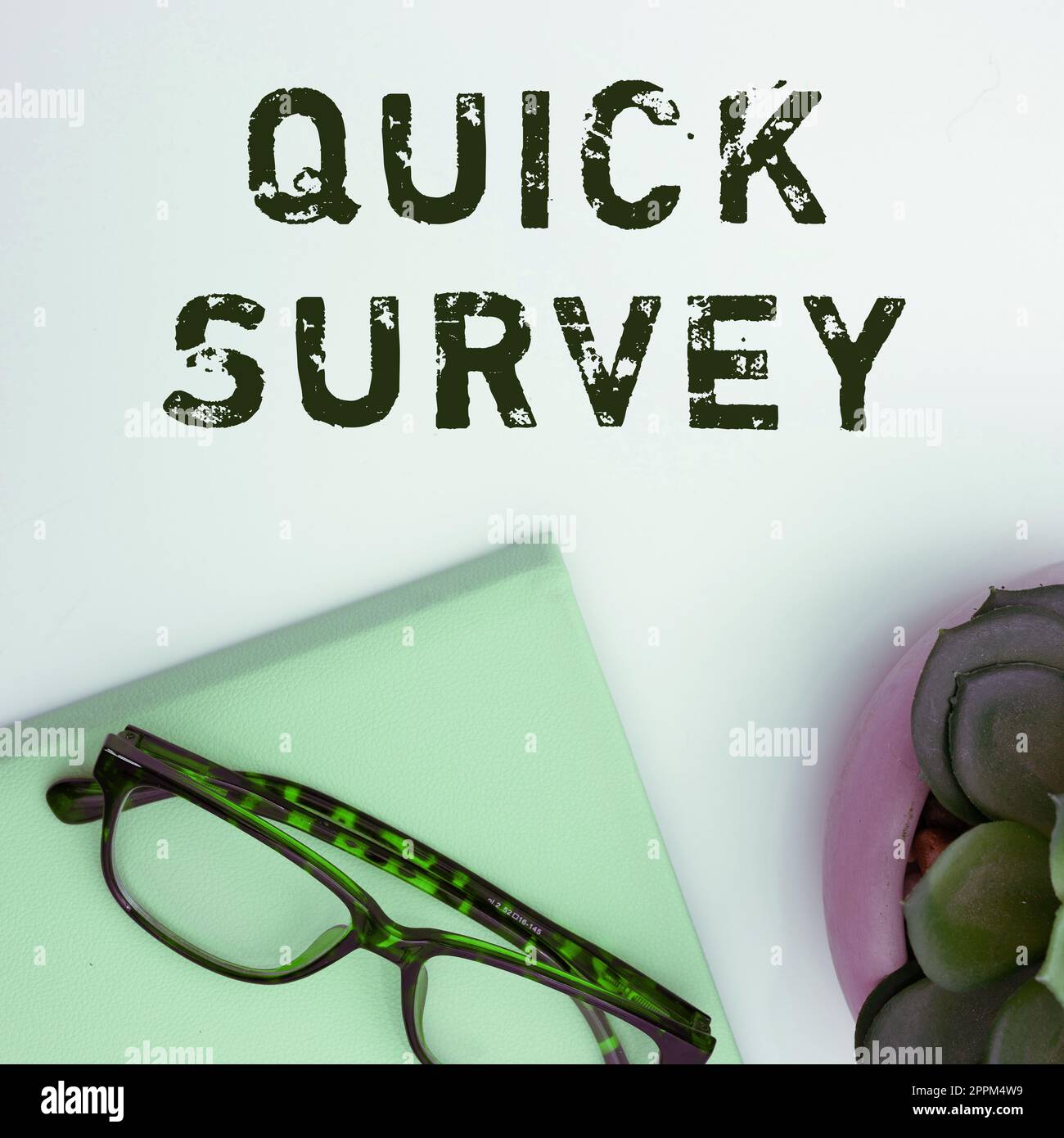 Text showing inspiration Quick Survey. Word for Conduct fast check on ... Text showing inspiration Quick Survey. Word for Conduct fast check on ...