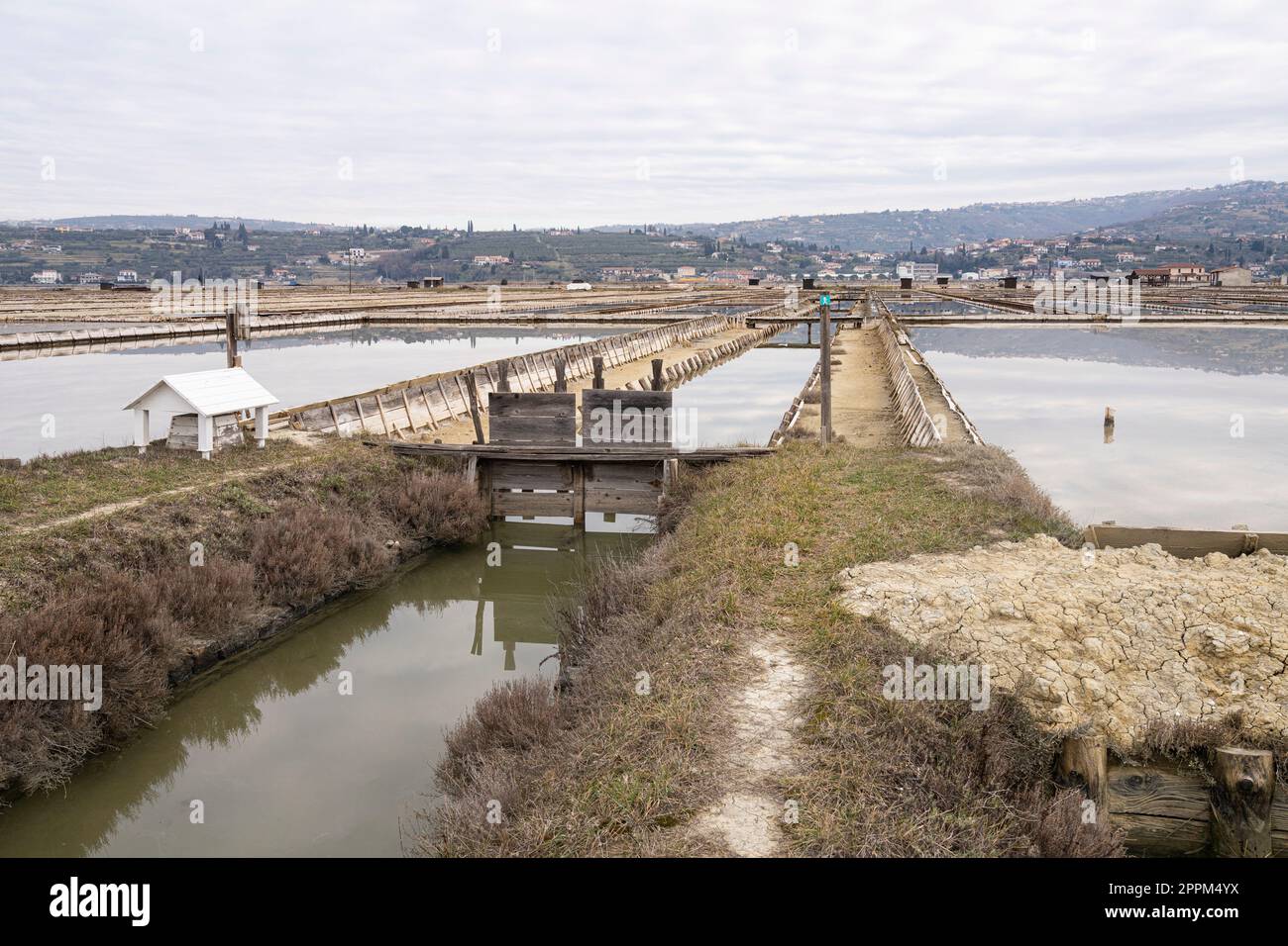 Secovlje slovenia hi-res stock photography and images - Alamy