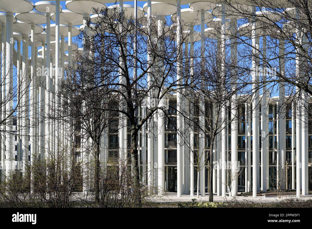 Trees on the front of the garden and tourism outside hi-res stock ...