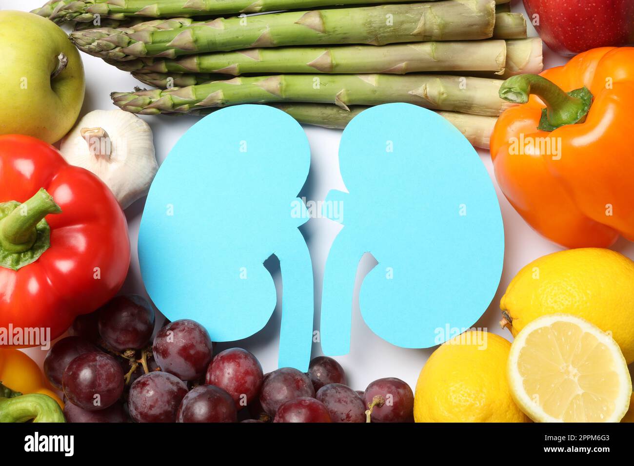 Paper cutout of kidneys and different healthy products on white ...