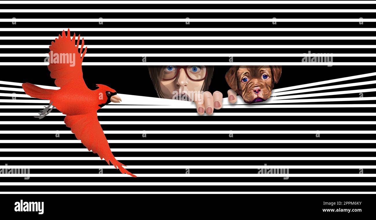 A red cardinal bird flys by a window where a girl and dog are looking ...