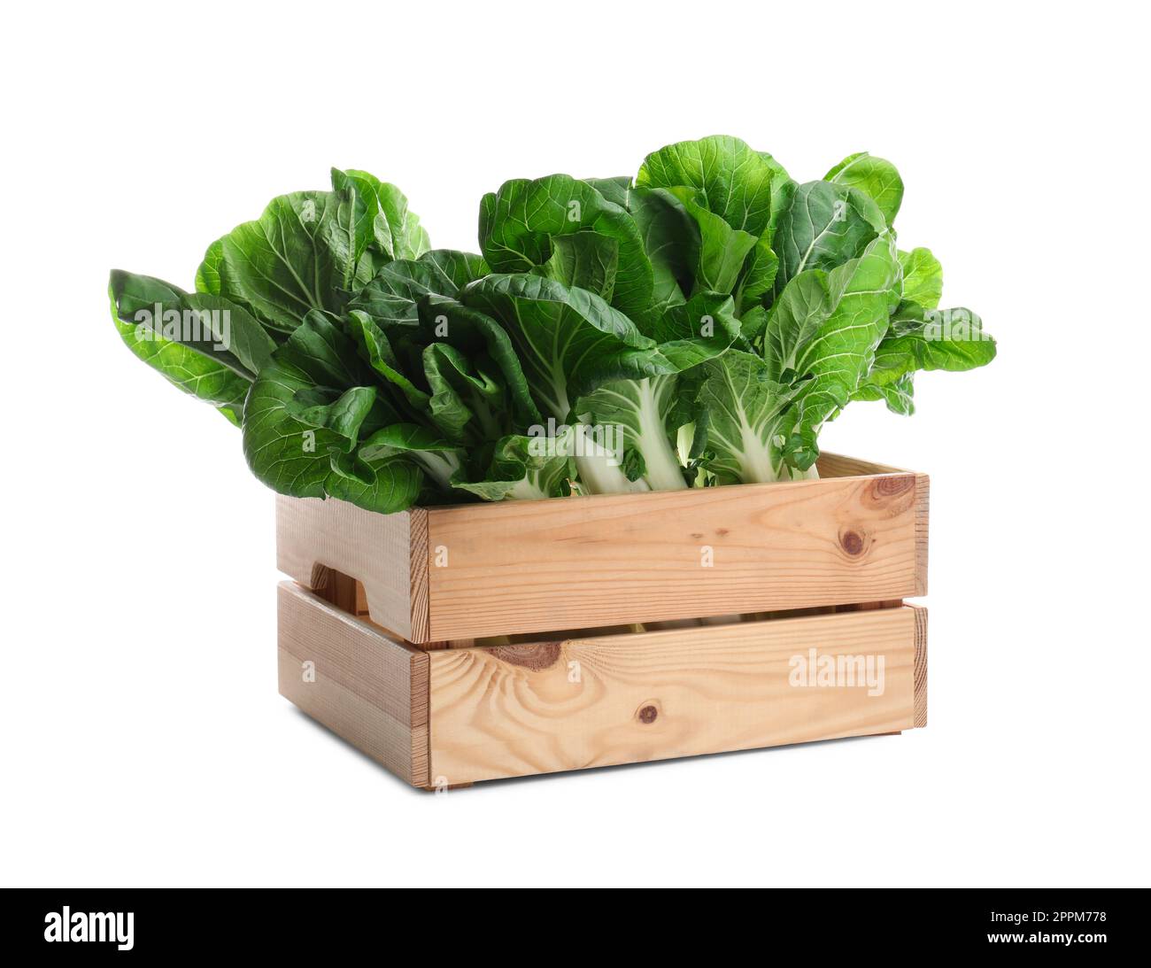 Fresh green pak choy cabbages in wooden crate on white background Stock ...