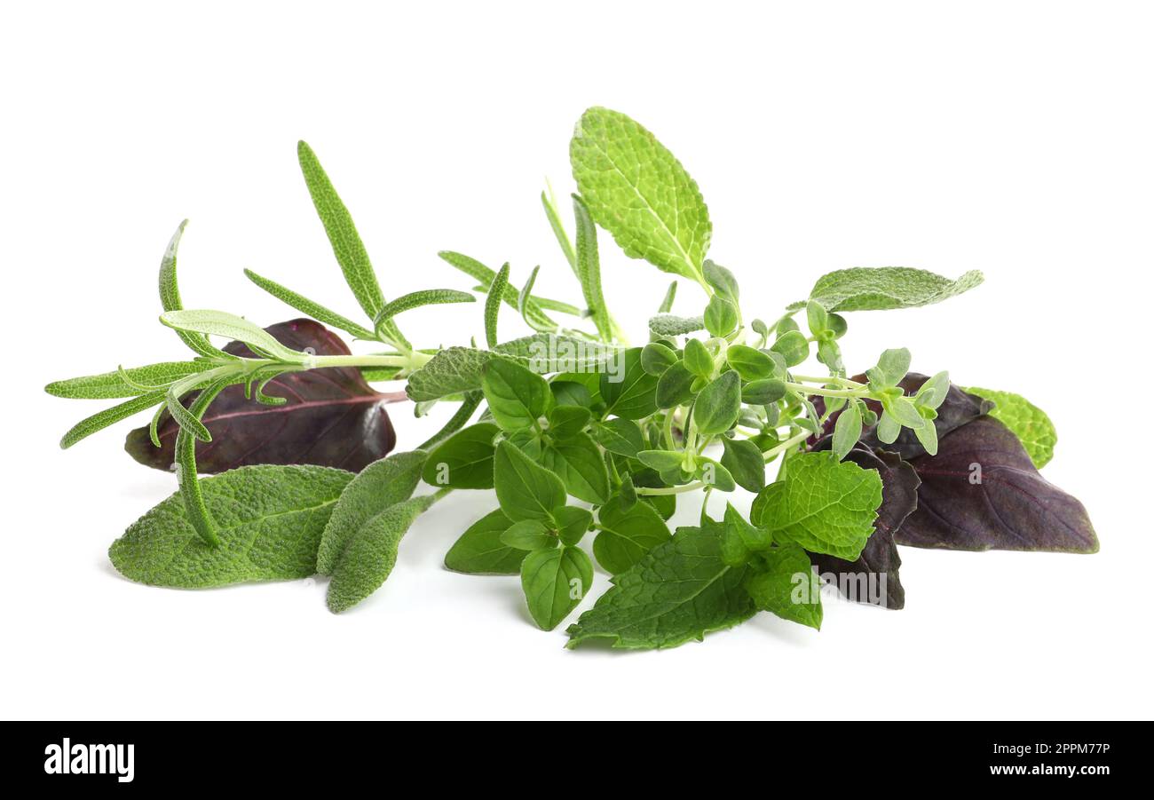 Various fresh aromatic herbs on white background Stock Photo - Alamy
