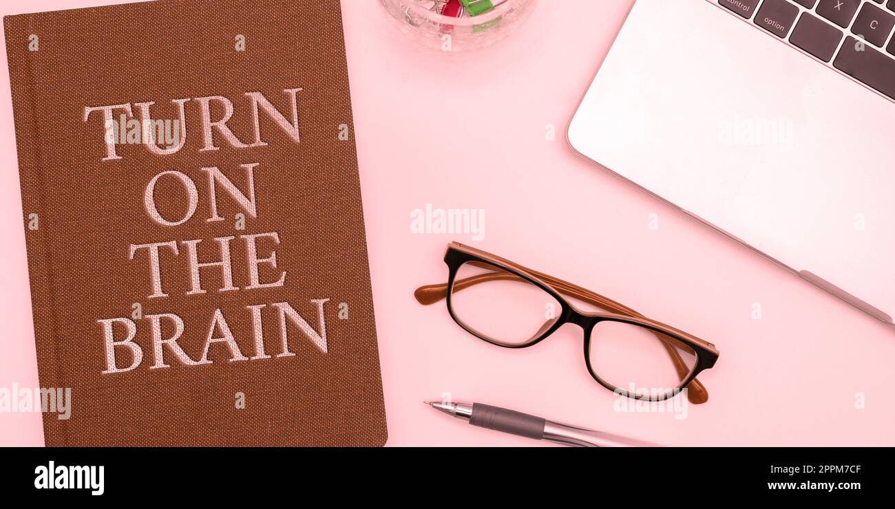 Conceptual display Turn On The Brain. Business overview Apply what you ...