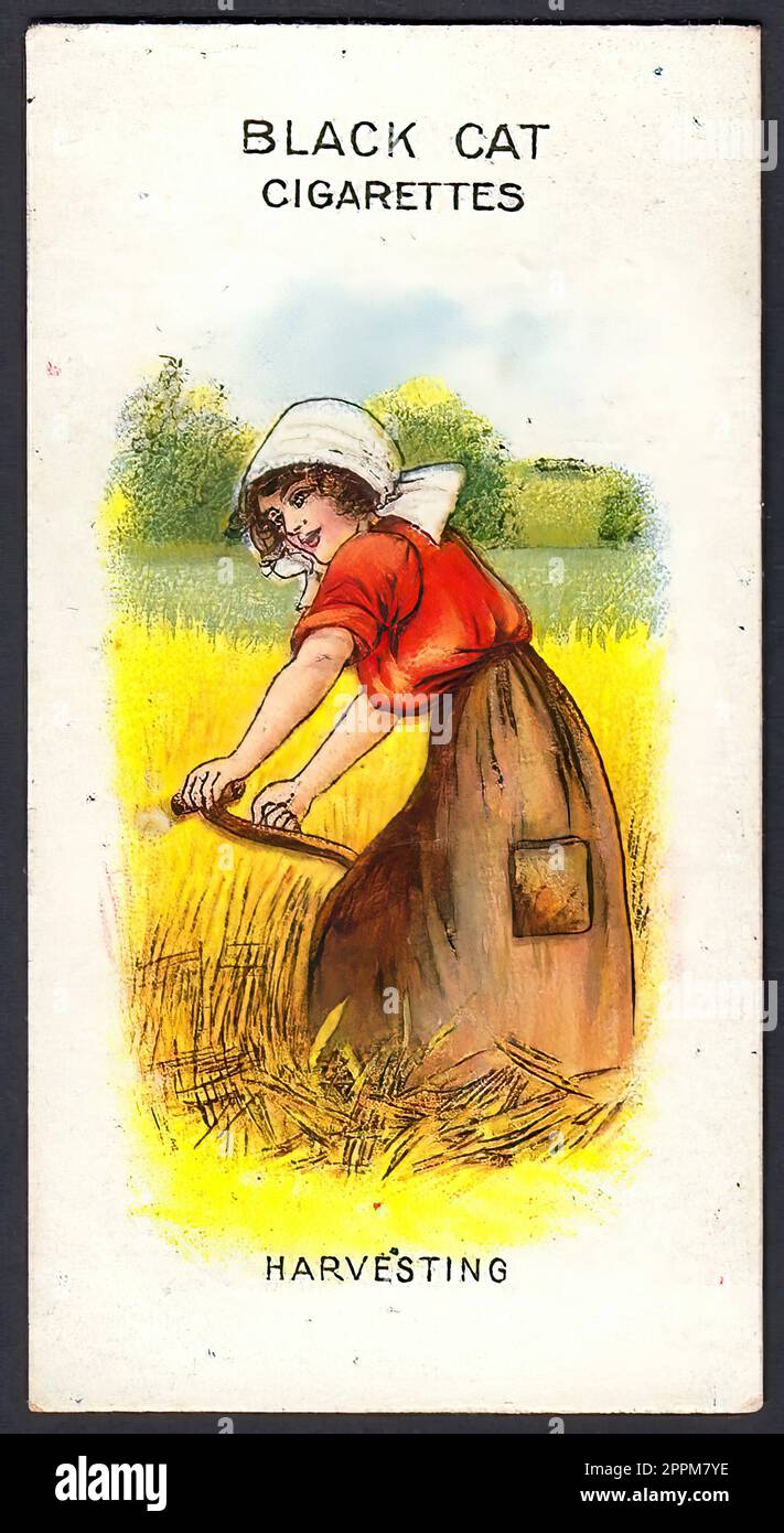 Harvesting - Vintage British Cigarette Card - Victorian Era Stock Photo ...