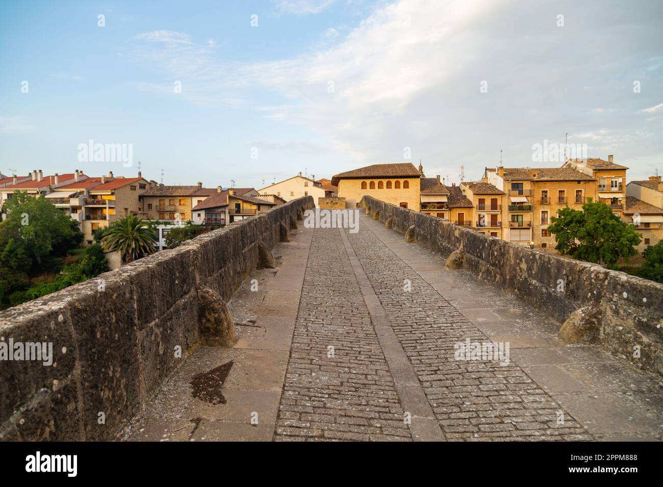 Reina regina hi-res stock photography and images - Alamy