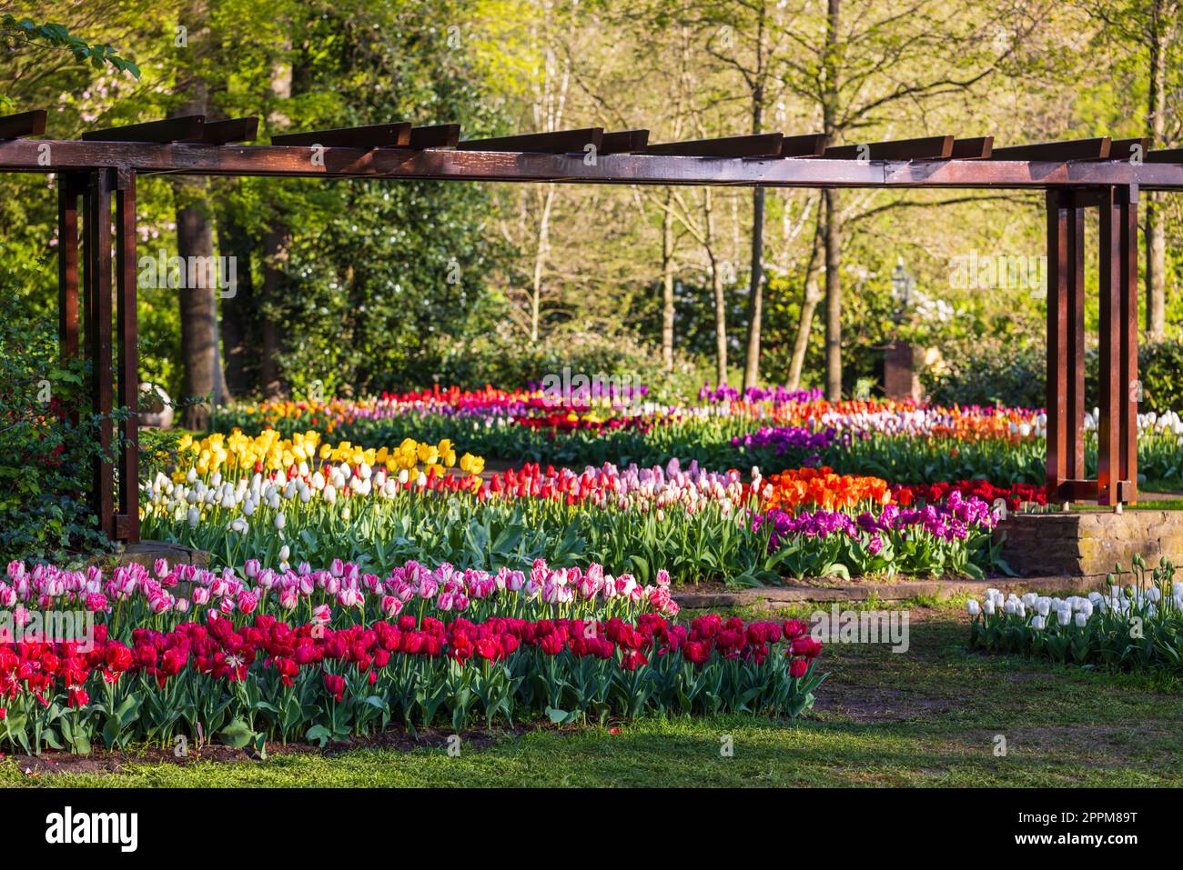 Keukenhof flower garden - largest tulip park in world, Lisse ...